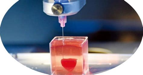 3d 프린터로 만든 인공심장 샘플장기이식의 새 장을 열다