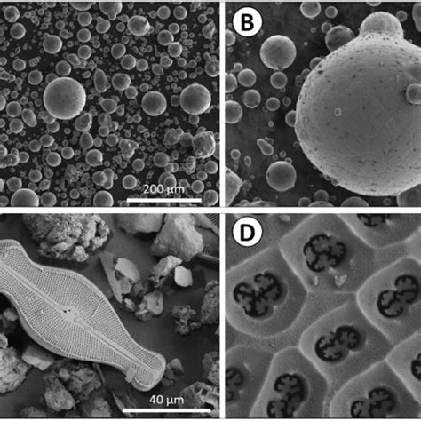 Sem Morphologies Of A B As Received Mg Particles And C D As