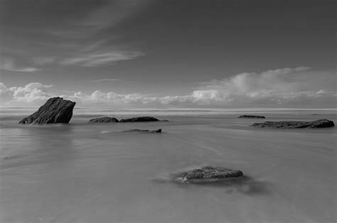 Fun With Dee The Law Of Gender