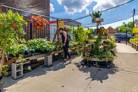 About Brook Creek Schools Demographics Things To Do