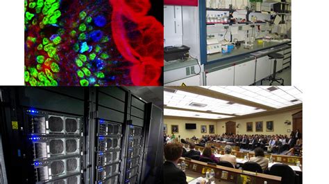 Reverse Engineering The Brain David Cox Open Transcripts