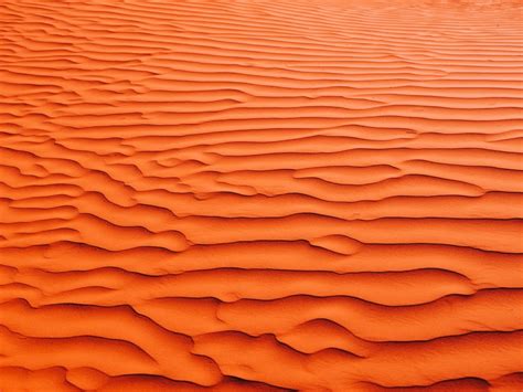 Biostatistics And Statistical Programming Services Eclinical Solutions