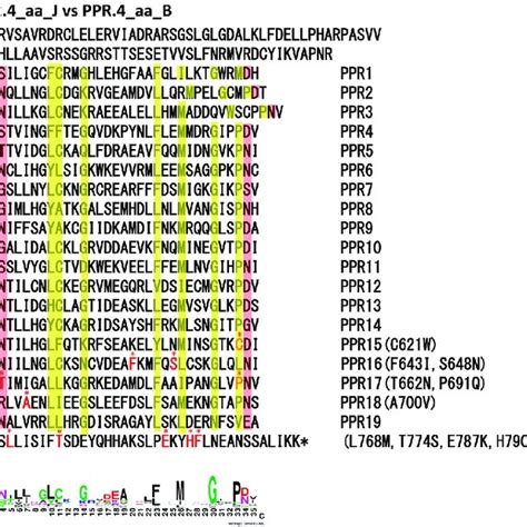 Comparison Of Amino Acid Sequences Of Ppr Motifs A Comparison Of Download Scientific Diagram