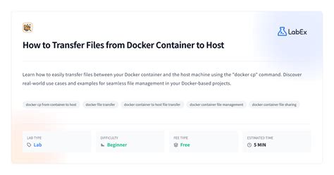 how to transfer files from docker container to host labex