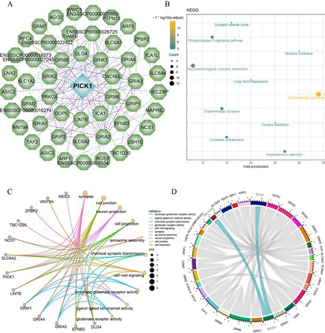 Scielo Brasil Long Read And Short Read Rna Seq Reveal The