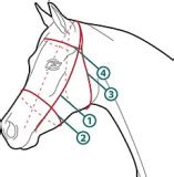 Ride N Tie Western Knotted Brow Band Convert A Bridle Of Beta Or Biothane Popular Western Style