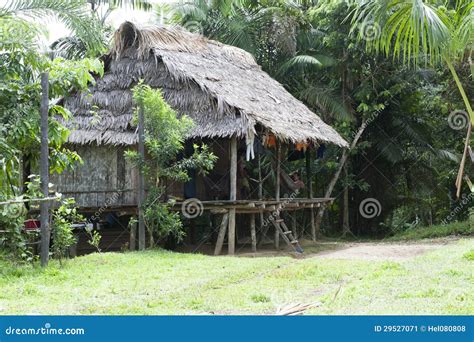 Типичный дом Амазонкы (Амазония) Редакционное Фото - изображение ...