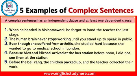 5 Examples Of Complex Sentences Complex Sentences Complex Sentence Examples Sentences