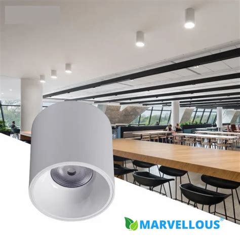 Cylindrical Ceiling Lights Fixture At ₹ 299 Ceiling Light Fixture In