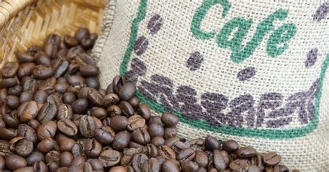 Phân Tích Cà Phê Ngày 16 12 Triển Vọng Nguồn Cung Dồi Dào đè Nặng Lên Giá Cà Phê Finvest