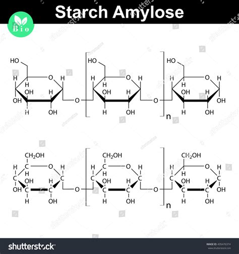 Starch Molecule 3d