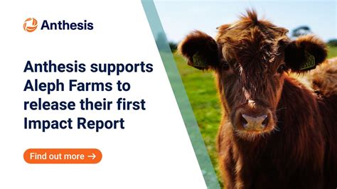 Elena Castillo Sagrera On Linkedin Aleph Farms Publishes Its First Ever Impact Report Detailing…