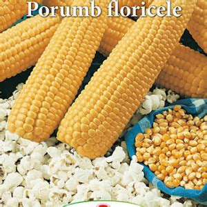 Porumb De Floricele 8 G Seminte Porumb Pentru Popcorn Floricele