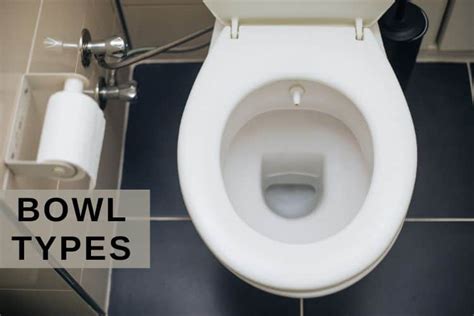 Toilet Bowl Types