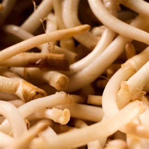 Homepage Vlass Middelkerke