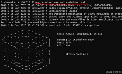 【已解决】黑马点评项目redis版本替换过程的数据迁移 技术栈