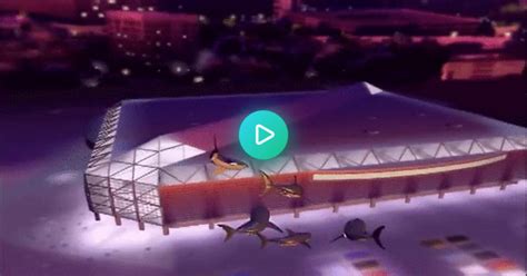 Hype 101 Album On Imgur