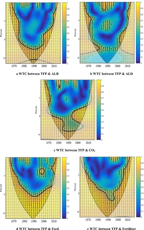 Wavelet Transform Coherence Effect Of Analyzed Regressors On Tfp A Wtc Download Scientific