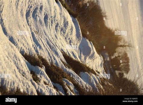 Path In Snow Stock Photo Alamy