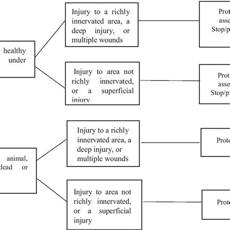 Rabies Post Exposure Prophylaxis Pep Flowchart Download Scientific Diagram
