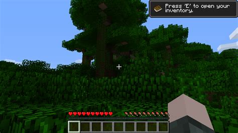 Java Edition12 Minecraft Discontinued Features Wiki
