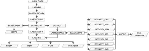 Workflow For Lidar Data Image Processing Download Scientific Diagram