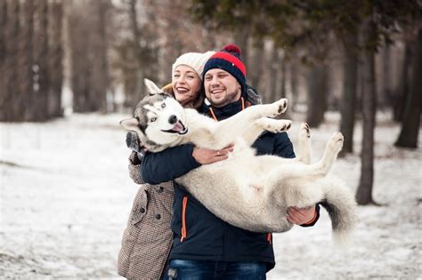 Free Photo Cheerful Beautiful C Background Adult