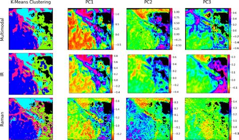 K Means Clustering Cluster Map Left Column And Pca Scores Maps 3