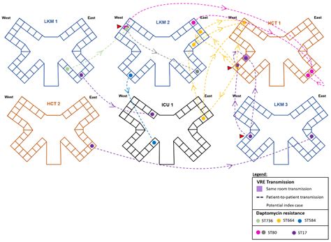Persistence Of Daptomycin Resistant And Vancomycin Resistant Enterococci In Hospitalized