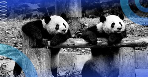 Pandas Concat Function In Python With Examples Built In