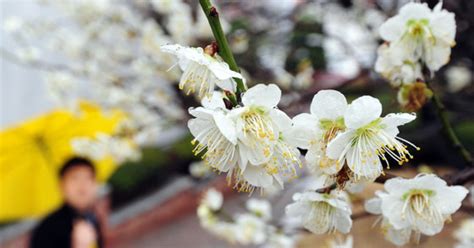 오늘 미세먼지 비에 씻긴 미세먼지공기 좋아요