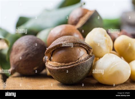 Macadamia Nuts Harvest Close Up Stock Photo Alamy
