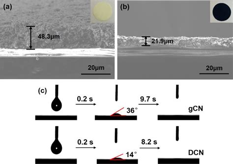 Cross Section Sem Images And Optical Photo Of Separator Inset Of A