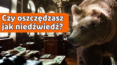 Co ma wspólnego niedźwiedź z PPK oficjalny portal Pracowniczych Planów Kapitałowych PPK