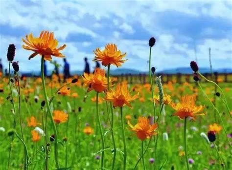 2018石家庄即将全面爆发，我们的好日子来啦！