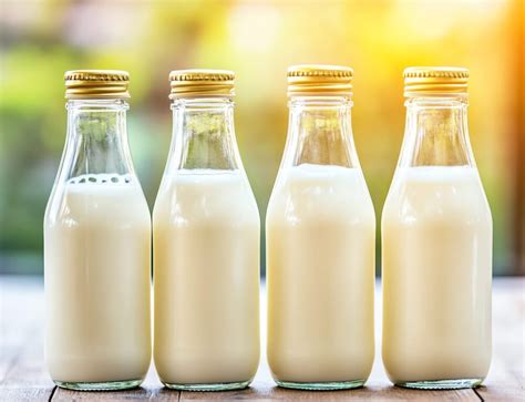 Understanding Standard Plate Counts In Food Testing Food Consulting Services