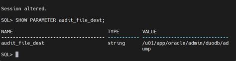 adump trong oracle database datalinks vn