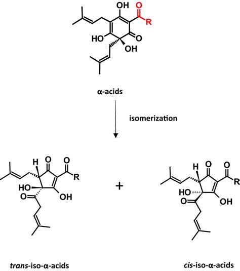 Chart Of Main Hops Compounds Almaguer Et Al 2014 Bocquet Et Al