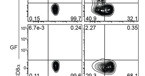 runx3 dependent intraepithelial lymphocytes cd4iels control gut
