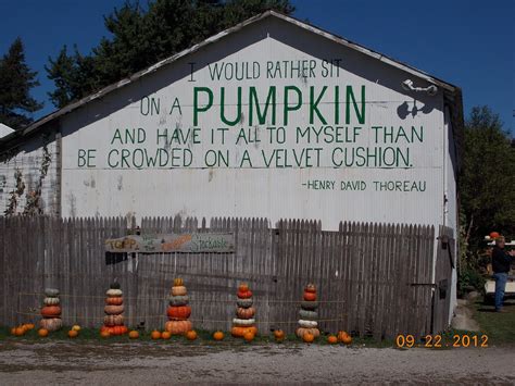 The Great Pumpkin Patch Arthuril