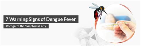 7 Warning Signs Of Dengue Fever Recognize The Symptoms Early