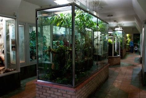 Awesome Reptile Room