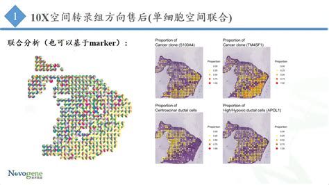 10x单细胞（10x空间转录组）一些冷门的分析点 csdn博客