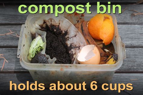 The 99 Cent Chef Composting Squirrels And The 99 Cent Chef Video