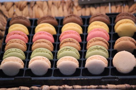 무료 이미지 겨울 초콜릿 빵 굽기 크리스마스 마카롱 디저트 요리 맛있는 수제의 빵집 출현 패스트리 코코넛 견과류 착빙 향기로운 싱싱한 단맛