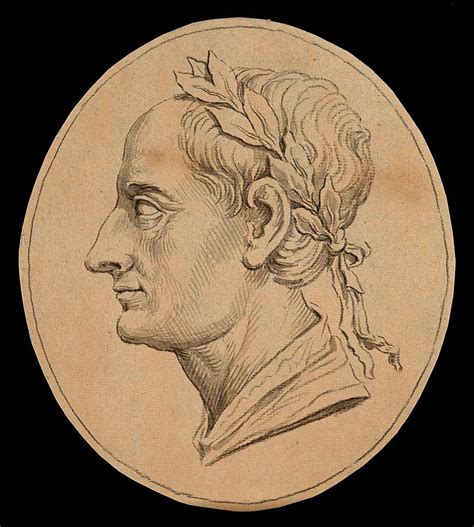 Caesar Drawing Images Free Photos Png Stickers Wallpapers And Backgrounds Rawpixel