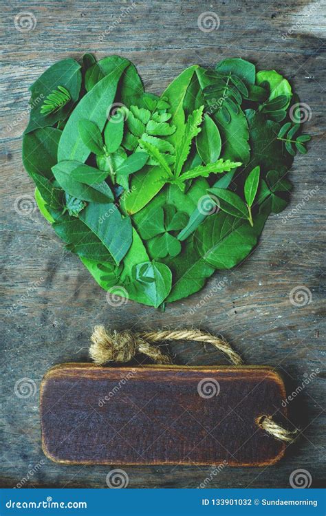 Creative Artwork Layout Of Assorted Green Leafs Arranged Into Heart