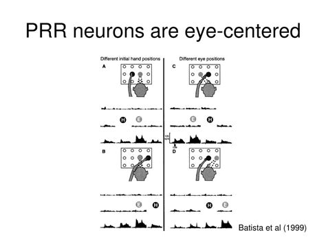 Ppt Sensory Motor Integration Powerpoint Presentation Free Download Id6901711