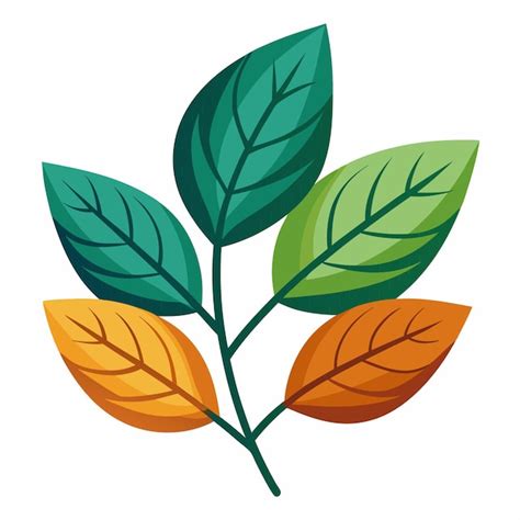 Premium Vector Leaves Clipart Cartoon Style Vector Illustration