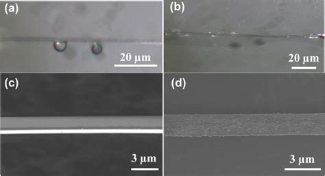Figure 3 From Piezotronic Effect Enhanced Drug Metabolism And Sensing